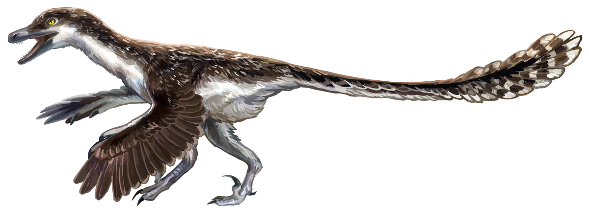 Velociraptor-walking with dinosaurs preview-the giant claw | New ideas ...