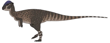 New Land Before Time Creatures 01 | New ideas by Matt Weaver Wiki | Fandom