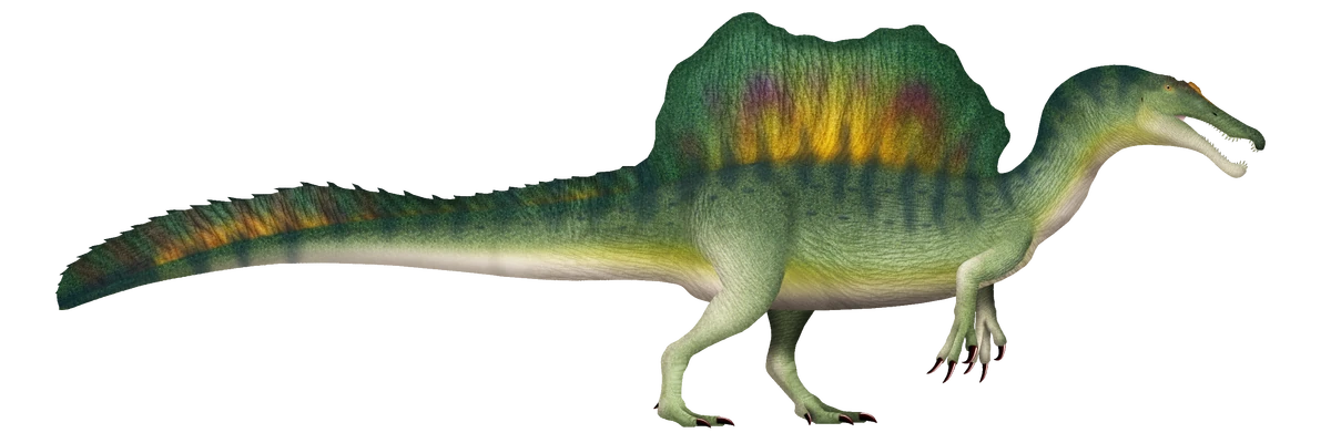 The Octonauts and the Spinosaurus | New ideas by Matt Weaver Wiki | Fandom