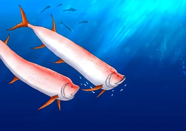 Ichthyodectes | New ideas by Matt Weaver Wiki | Fandom