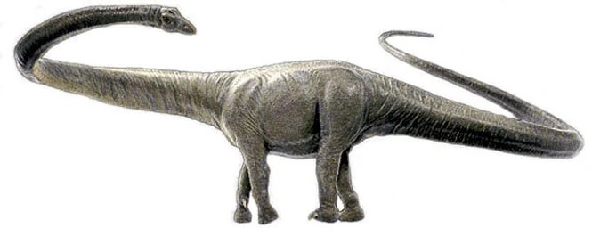 Barosaurus | New ideas by Matt Weaver Wiki | Fandom
