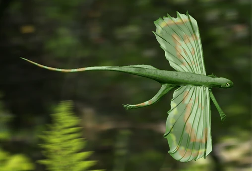Icarosaurus | New ideas by Matt Weaver Wiki | Fandom