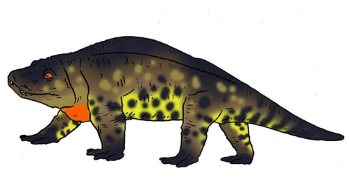 Ridgeback Wandernewt | New ideas by Matt Weaver Wiki | Fandom
