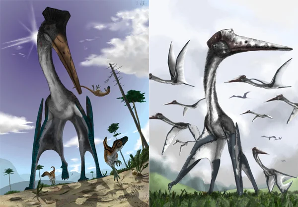 Stalking azhdarchid hypothesis | New ideas by Matt Weaver Wiki | Fandom