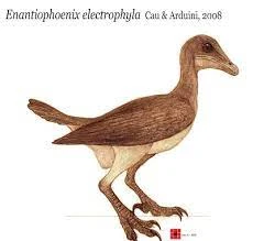 Enantiophoenix | New ideas by Matt Weaver Wiki | Fandom