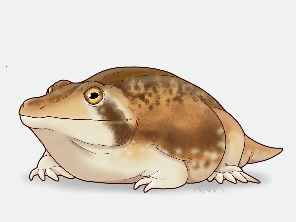 Cacops aspidephorus | New ideas by Matt Weaver Wiki | Fandom