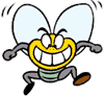 Fly and Fighter Fly-Super Mario bros | New ideas by Matt Weaver Wiki ...