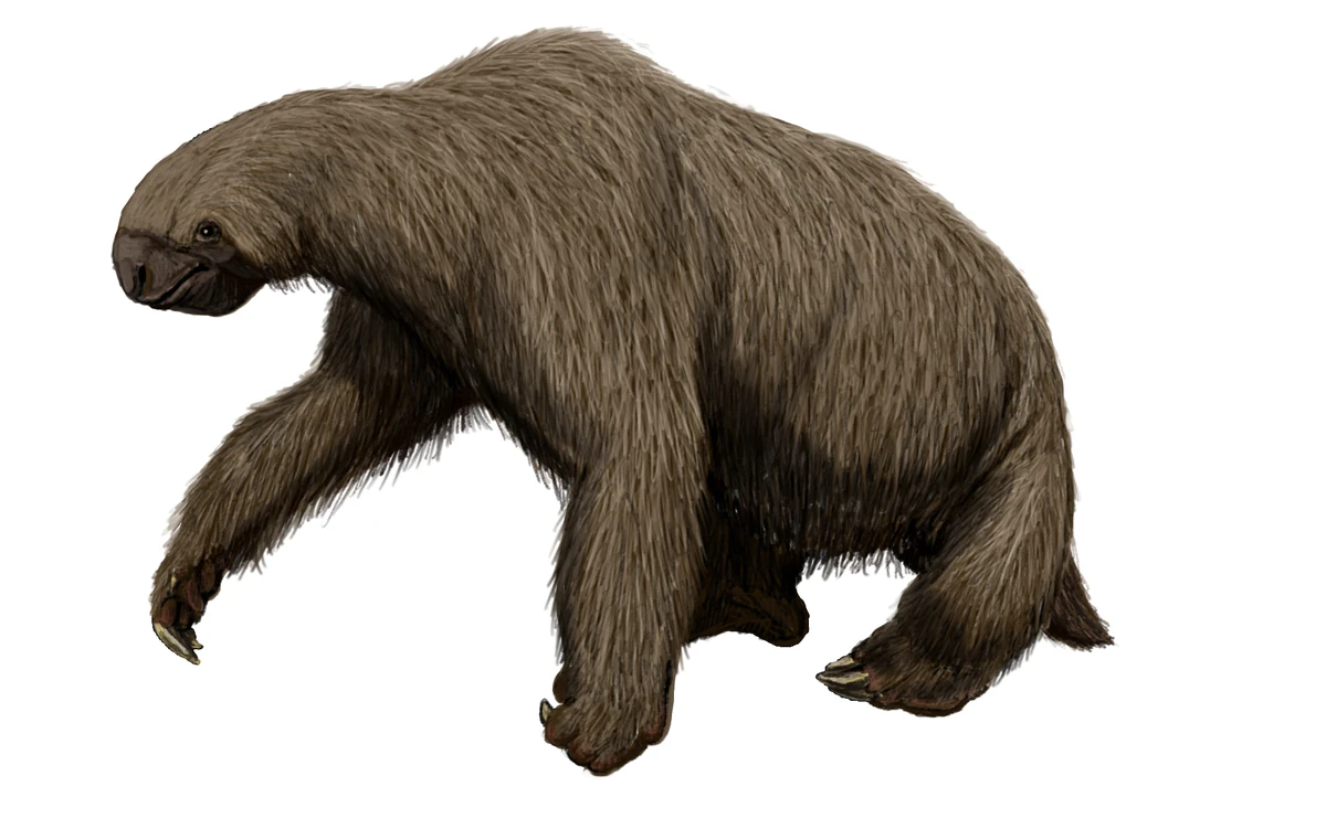 Jurassic Kratts-ground sloth rescue | New ideas by Matt Weaver Wiki ...