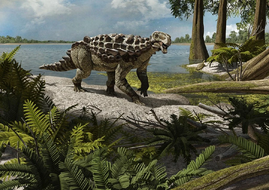 Europelta-dinosaur age animals (Discovery kids documentary) | New ideas ...