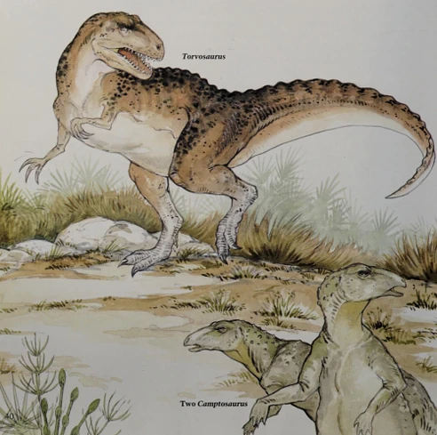 Torvosaurus-Tyrannosaurus rex and its kin | New ideas by Matt Weaver ...