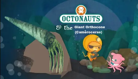 Octonauts and the Cameroceras | New ideas by Matt Weaver Wiki | Fandom