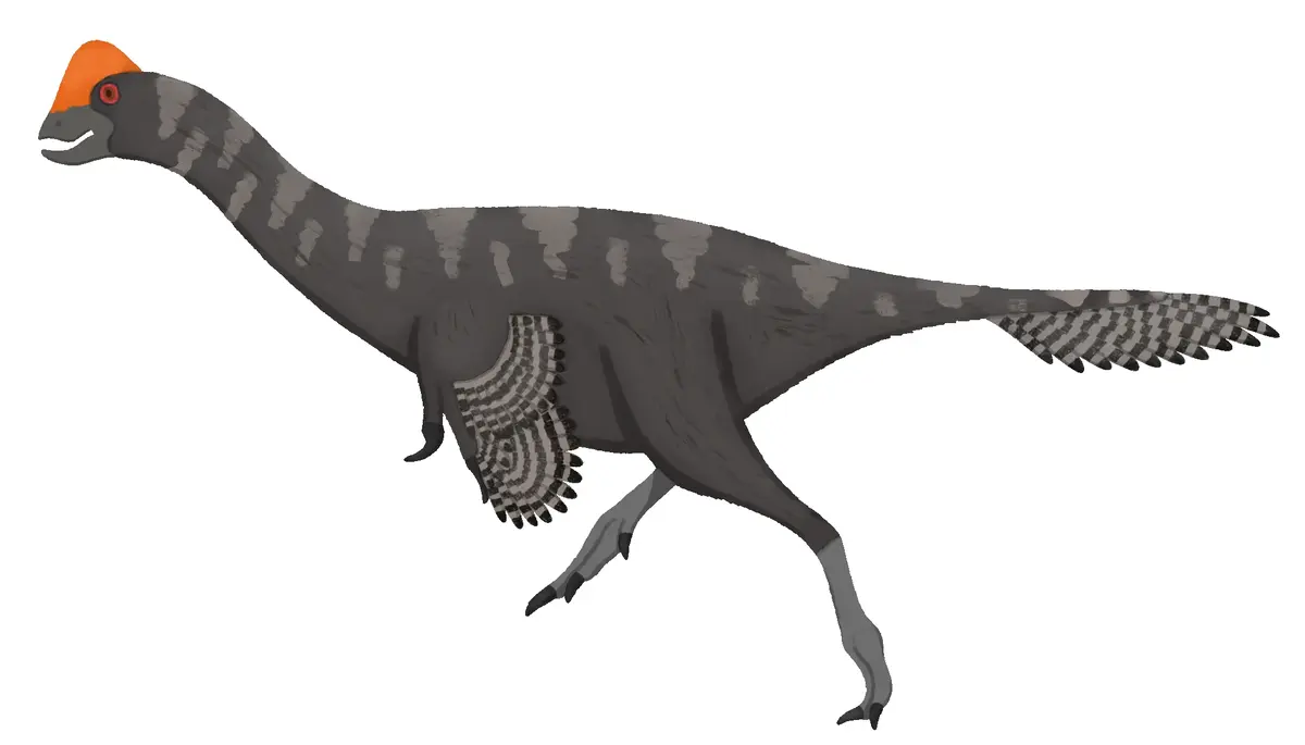 Apatoraptor | New ideas by Matt Weaver Wiki | Fandom