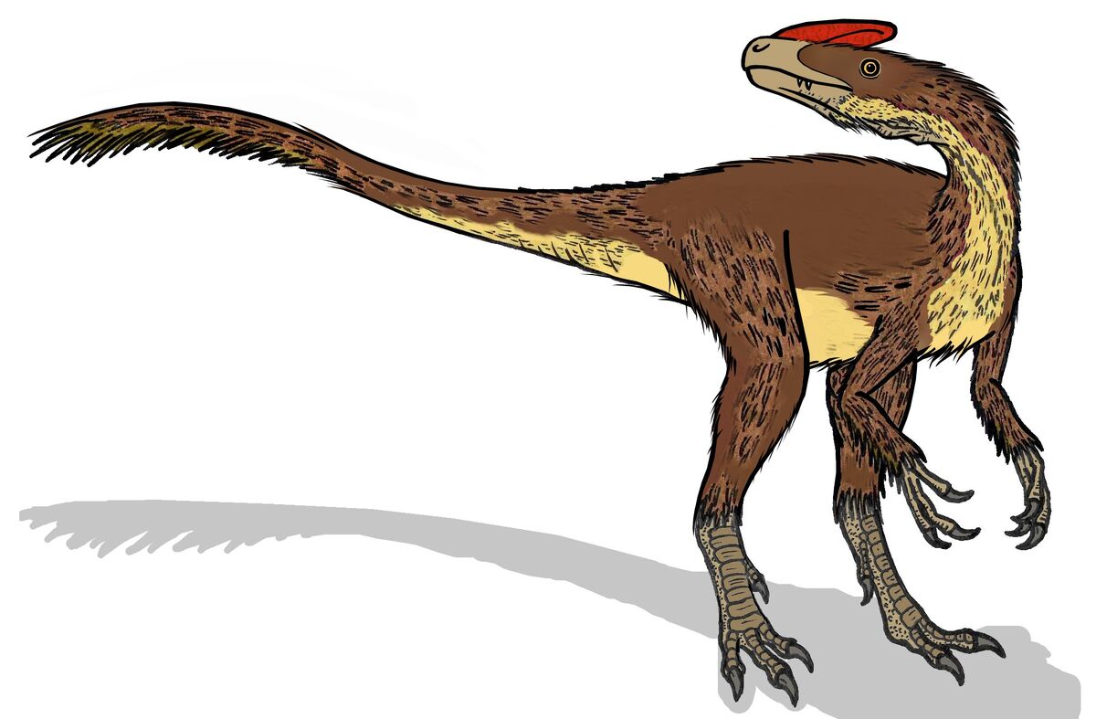 Guanlong Tyrannosaurus And Its Kin Preview New Ideas By Matt Weaver