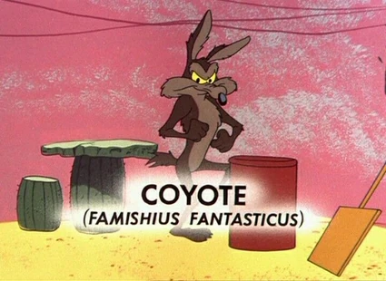 Road Runner and Wile E. Coyote latin translations | New ideas by Matt ...