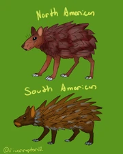 North American rattleback | New ideas by Matt Weaver Wiki | Fandom