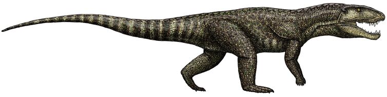 Postosuchus Dinosaur Planet Remake New Ideas By Matt Weaver Wiki Fandom