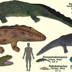 Temnospondyls-Boneheads new series | New ideas by Matt Weaver Wiki | Fandom
