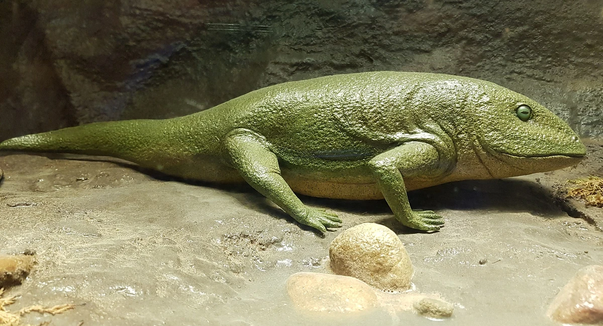 Pederpes | New ideas by Matt Weaver Wiki | Fandom