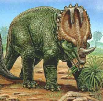 Centrosaurinae | New ideas by Matt Weaver Wiki | Fandom