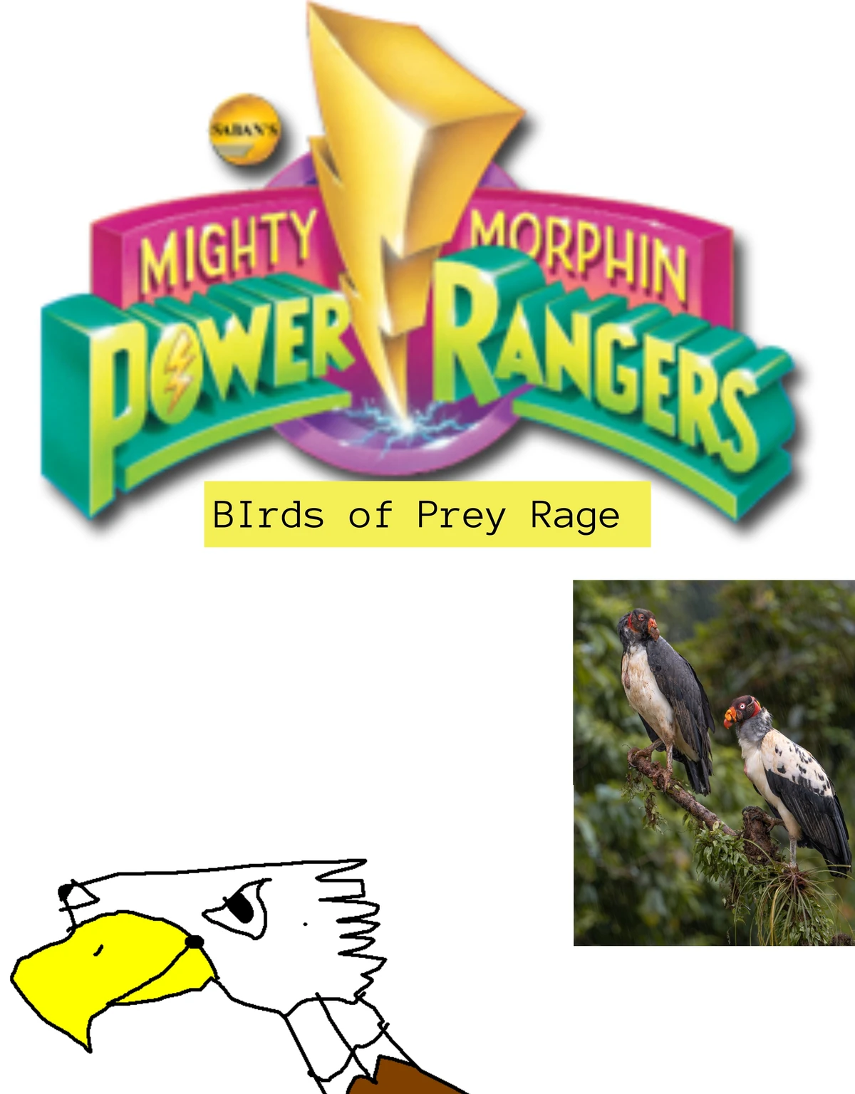Power Rangers-Birds of Prey rage poster preview 1 | New ideas by Matt ...