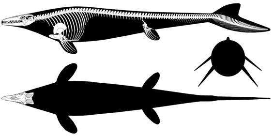 Mosasaurinae | New ideas by Matt Weaver Wiki | Fandom