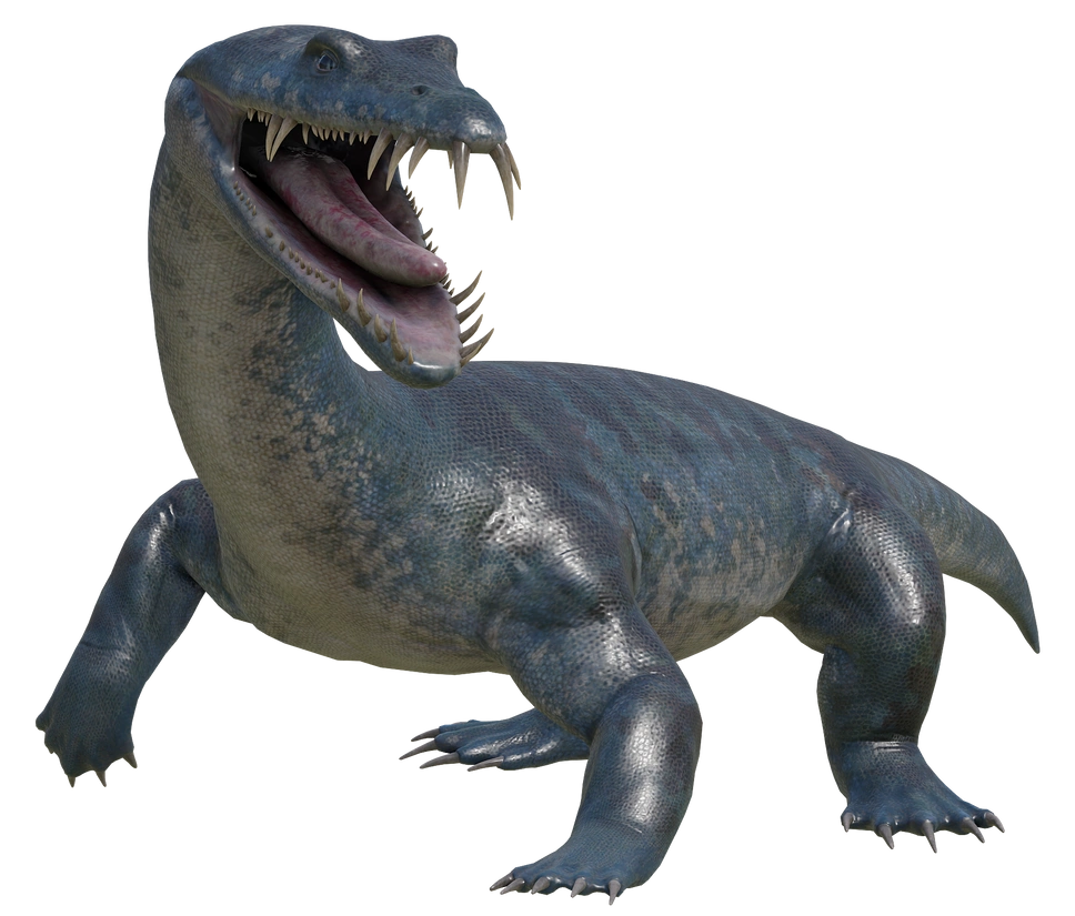 Nothosaurus-Creature report: Octonauts | New ideas by Matt Weaver Wiki | Fandom