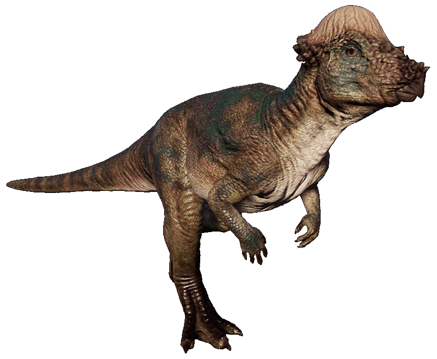Category:Pachycephalosaurs | New ideas by Matt Weaver Wiki | Fandom