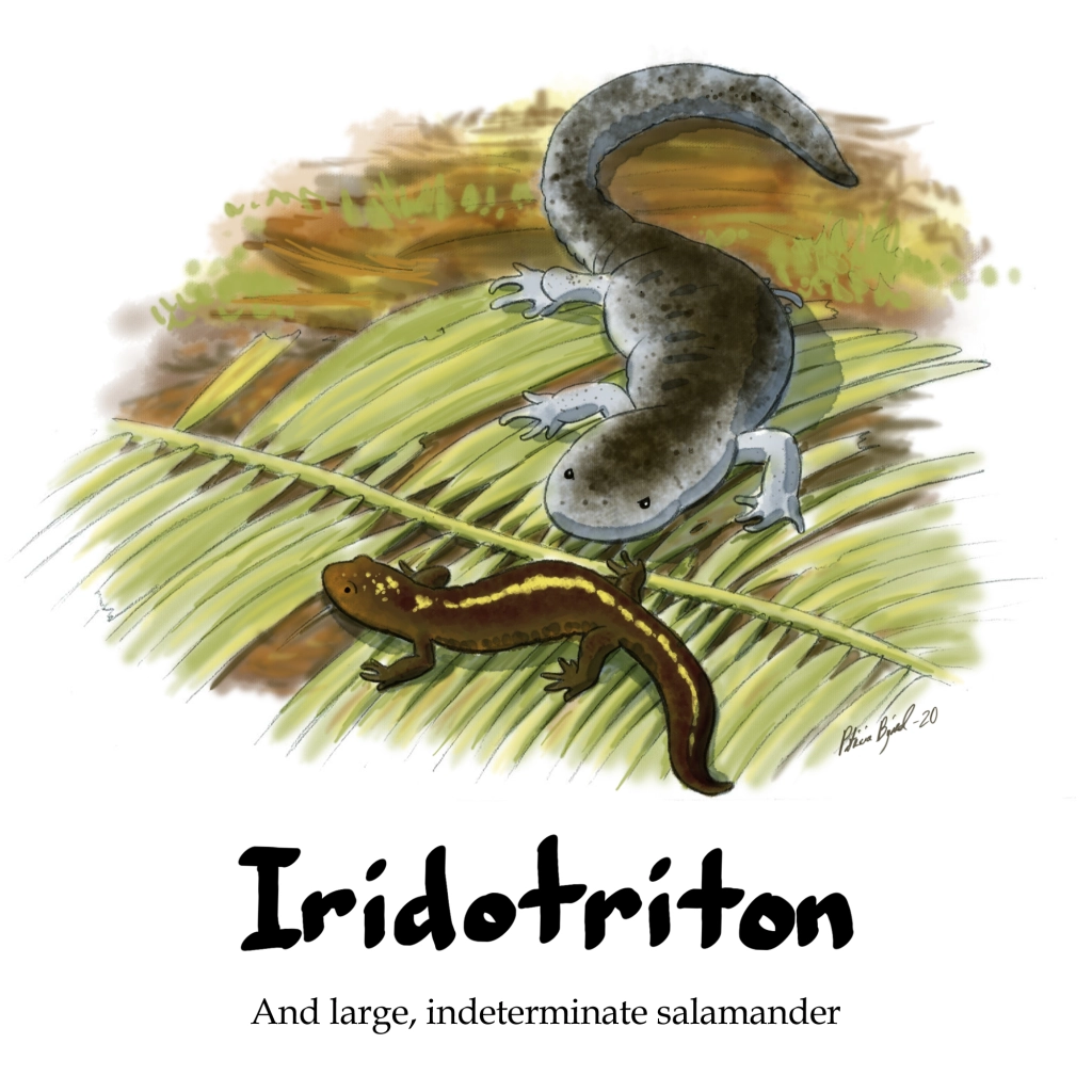 Iridotriton | New ideas by Matt Weaver Wiki | Fandom