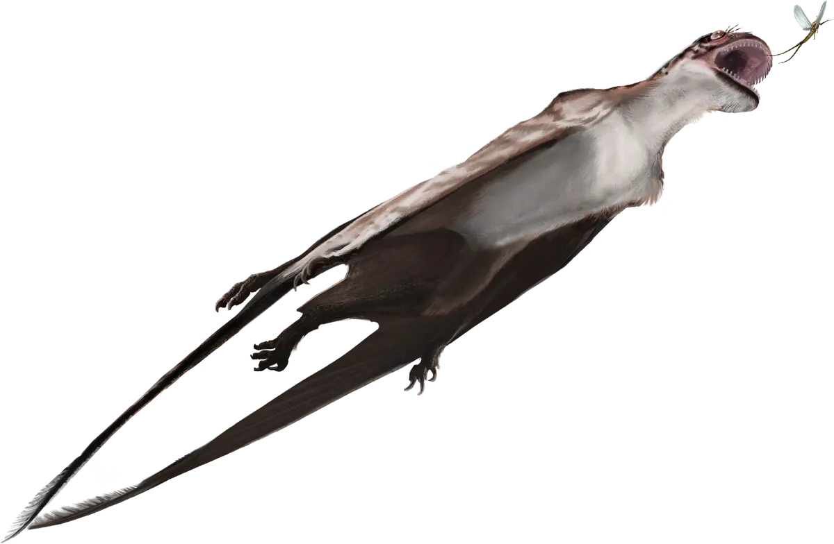 Mesadactylus | New ideas by Matt Weaver Wiki | Fandom