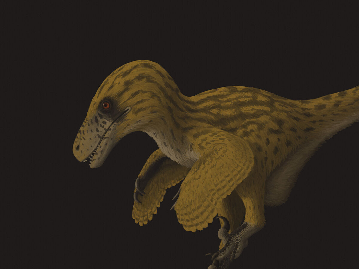 Walking With Dinosaurs Adventures Animated Series New Ideas Wikia