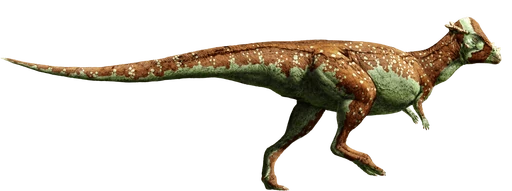 The Dome-headed Dinosaur-Pachycephalosaurus | New Ideas wikia Wiki | Fandom