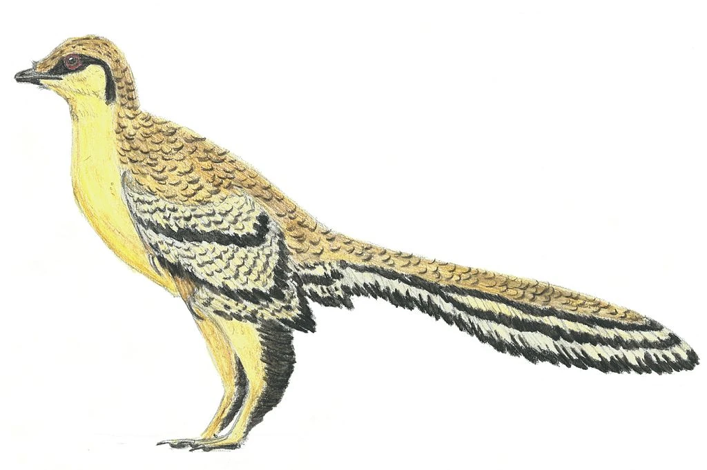 Feather-demon | New Ideas wikia Wiki | Fandom