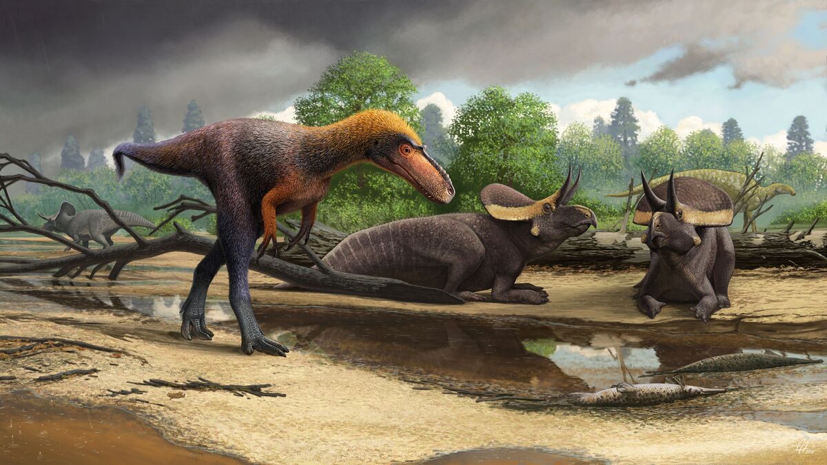New Dinosauria Discoveries 1 New Ideas Wikia Wiki Fandom