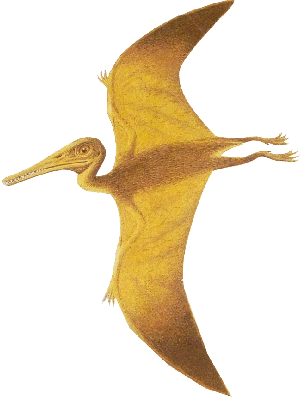 Wild kratts prehistoric-pterodactyl power | New Ideas wikia Wiki | Fandom