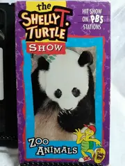 Shelly T Turtle DVD preview | New Ideas wikia Wiki | Fandom