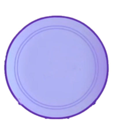 Frisbee/Gallery | New Inanimate Fight Out Wiki | Fandom