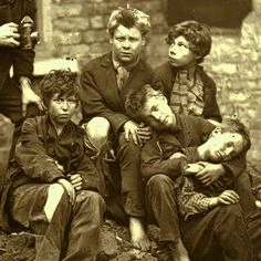 Moll | New Luxberg Wikia | Fandom