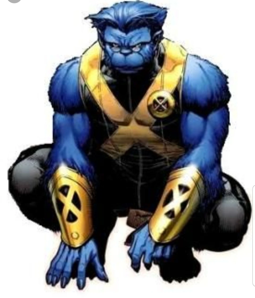 Hank McCoy | New Marvel Universe Wiki | Fandom