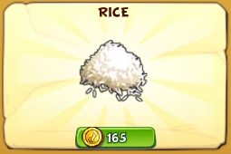 Rice | New Rock City Wiki | Fandom