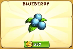 Blueberry | New Rock City Wiki | Fandom