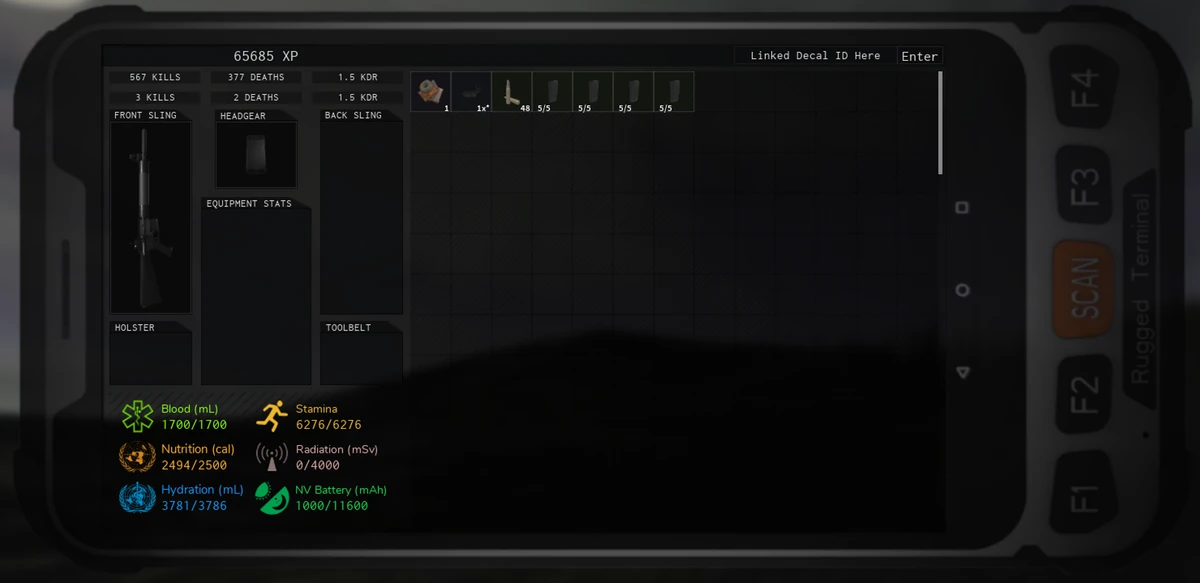 Player | New State of Anarchy Wiki | Fandom