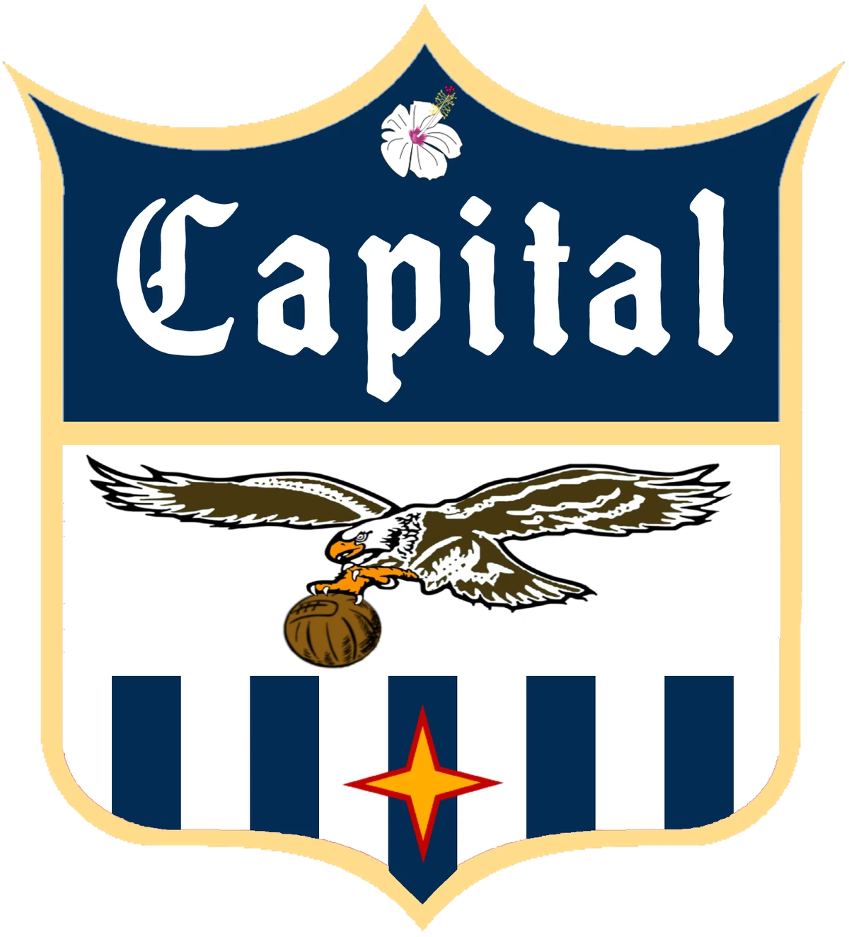 Capital Athletic FC | New Waterloo Wiki | Fandom