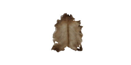 Fur | New World Wiki | Fandom