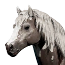 Mounts | New World Wiki | Fandom