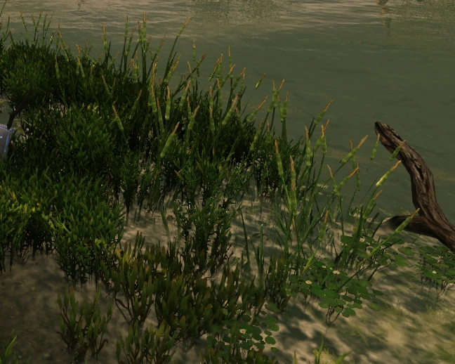 Bulrush | New World Wiki | Fandom