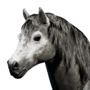 Mounts | New World Wiki | Fandom