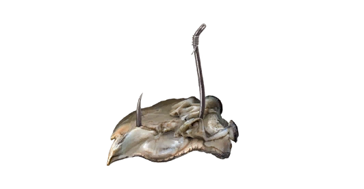 Oyster Bait | New World Wiki | Fandom