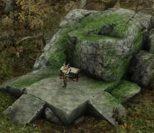 Fay the Last Protector | New World Wiki | Fandom