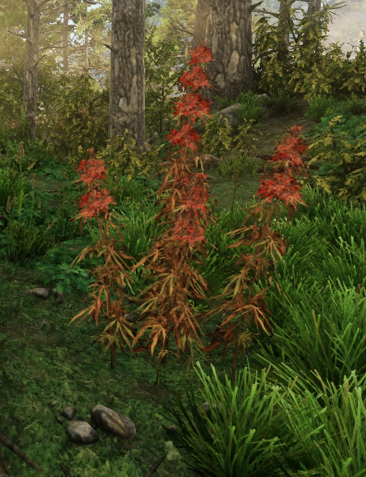 Wirefiber (Plant) | New World Wiki | Fandom