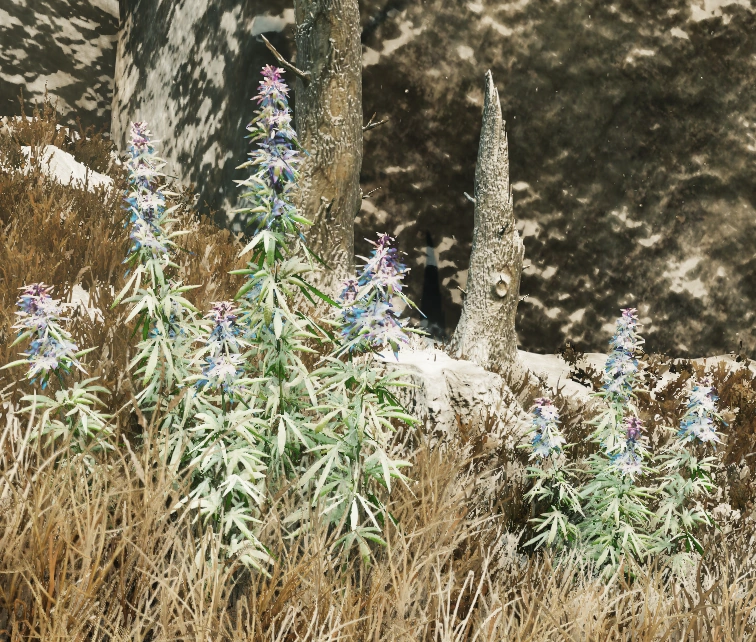 Silkweed | New World Wiki | Fandom